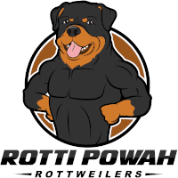 RottiPowah Rottweiler Kennel uppfödare i Skåne - RottiPowah Rottweiler ...